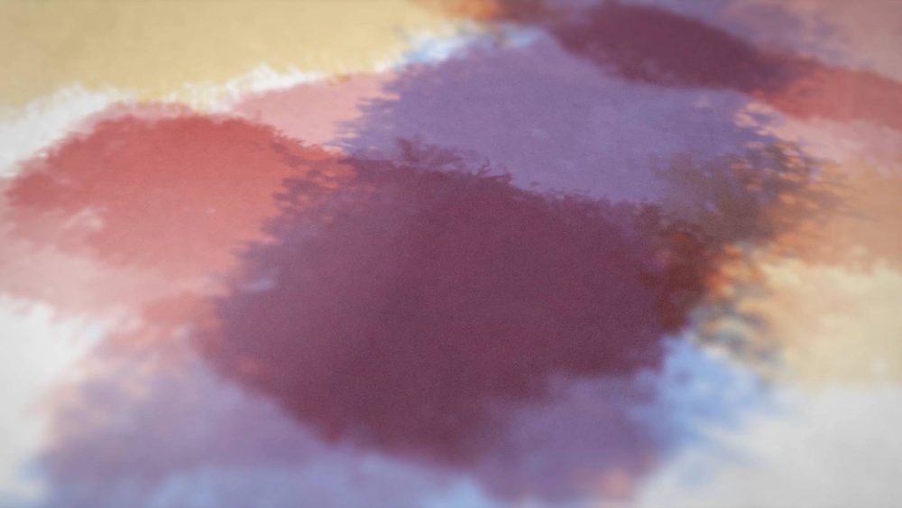 Partnership Dynamic Splash Reveal